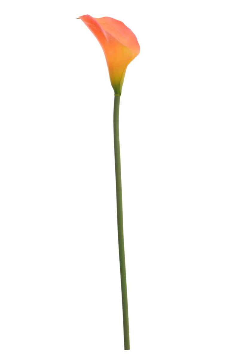 Calla Kunstbloem 58cm Oranje/Geel | Bekijk Alles | PrettyPlants