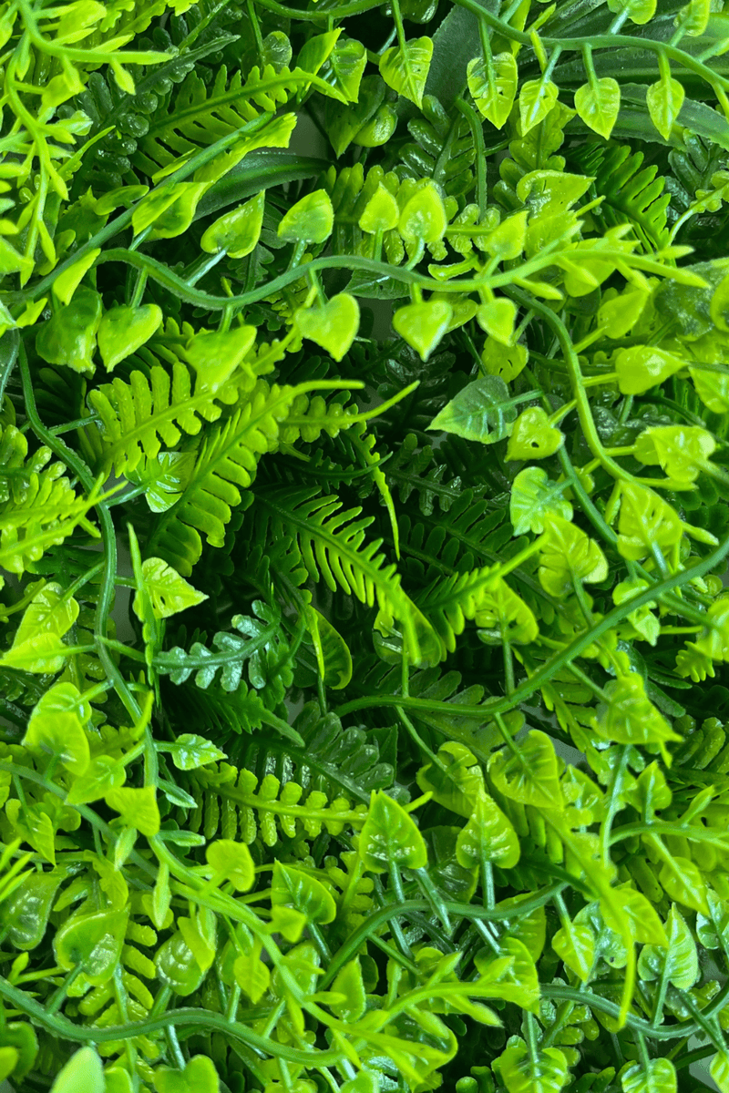 Kunsthaag Varen Mix Bestellen | Creëer jouw Jungle | PrettyPlants